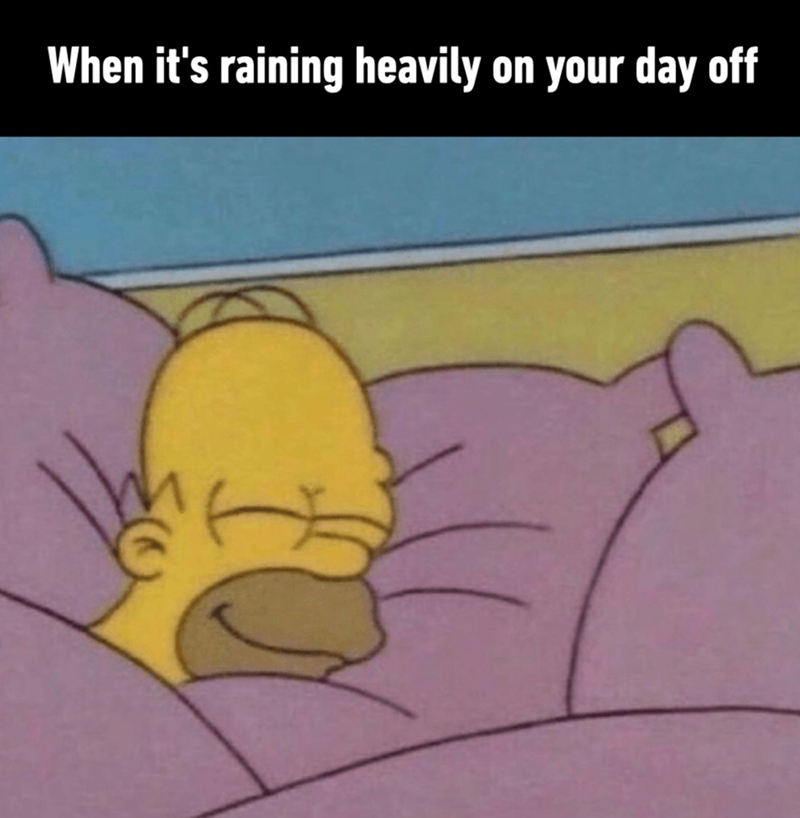 'Grey skies and blueberry pies': A rainy day sweet treat of funny memes ...