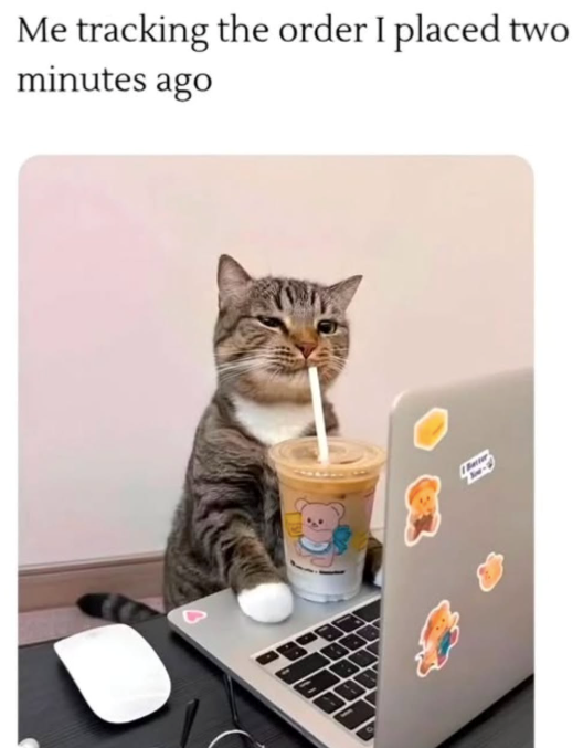 20 Mood-boosting Memes That Offset the Cost of Buying Yourself That ...