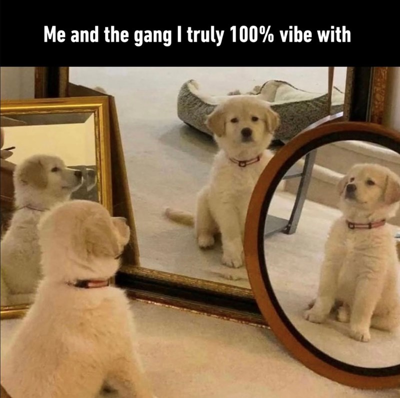 ‘Laughing with me, myself, and I:’ 21 Mantra memes to tell yourself ...