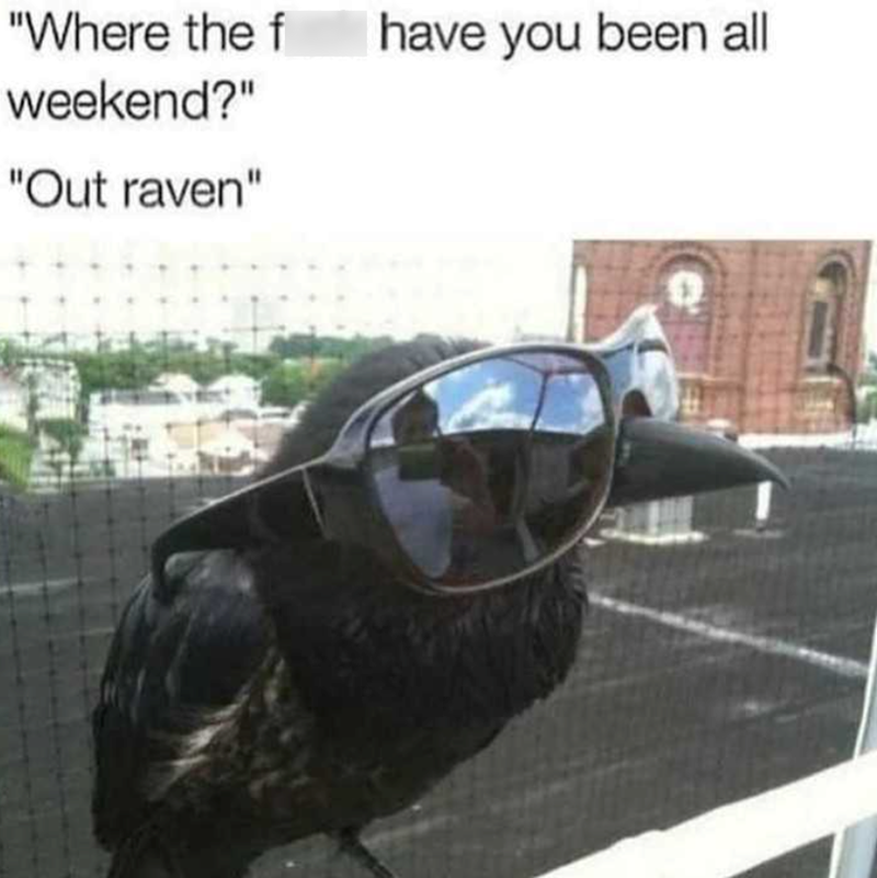 Burning Up the Dancefloor With 22 Dancing Memes Featuring a Wild DJ Who ...
