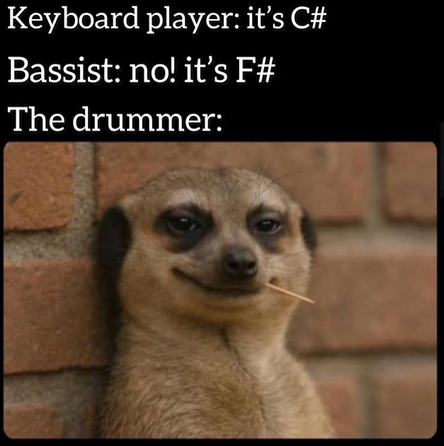 A Medley of 27 Musician Memes Perfectly Tuned for Bandmates, Solo ...