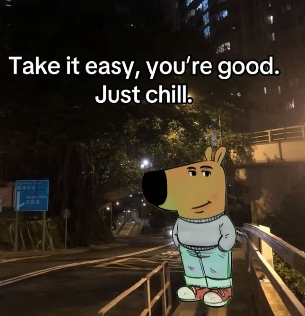 21 Chill Guy Memes for Unbothered People Choosing Peace and Good Vibes ...