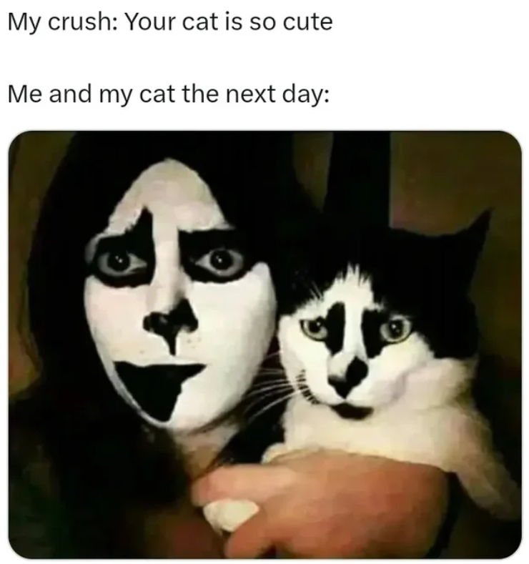 34 Caturday Cats Meowing Memes in Your General Direction - I Can Has ...