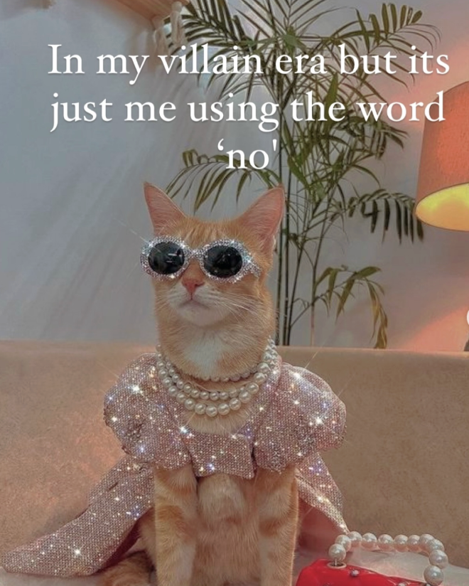 30 Meowschievous Memes of Felines Who Woke Up and Chose Villainy - I ...