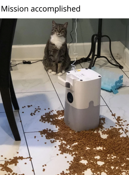 32 Meowschievous Cat Memes Risking It All for a Taste of Tuna - I Can ...