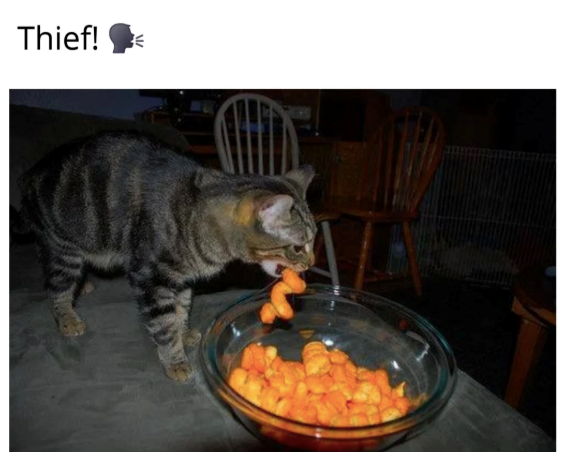 32 Meowschievous Cat Memes Risking It All for a Taste of Tuna - I Can ...