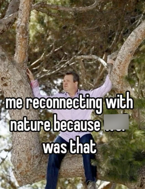 'I just love a good leaf': 23 Nature Memes for People Who Get Excited ...
