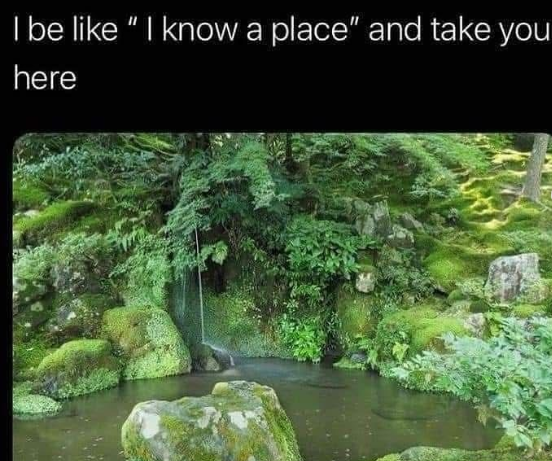 'Go touch some grass': 29 Memes Filled With Fresh Oxygen for Outdoor ...