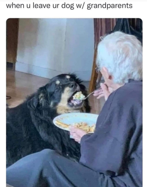 25 Grandparents Memes for Every Grandchildren Trying to Stop Their ...