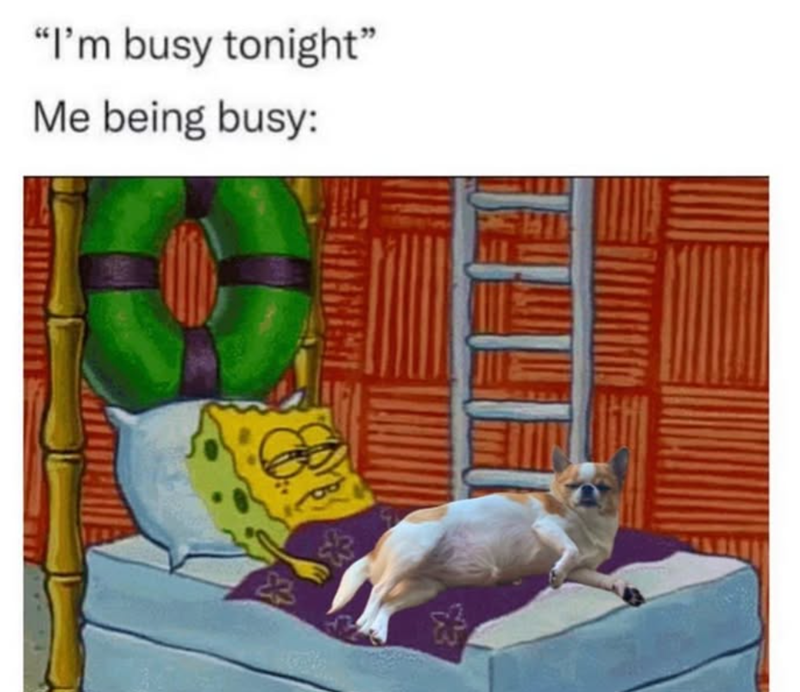 A Fresh Batch of 24 Weekend Memes for People Who've Already Changed ...