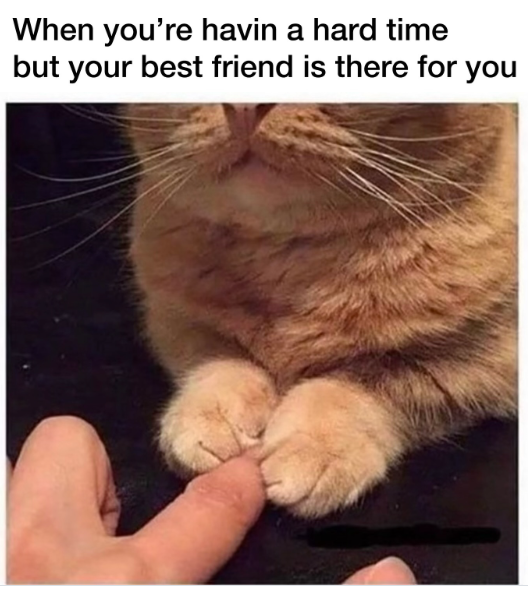 'Are you available for a crash out call?': 26 Best friend memes to send ...