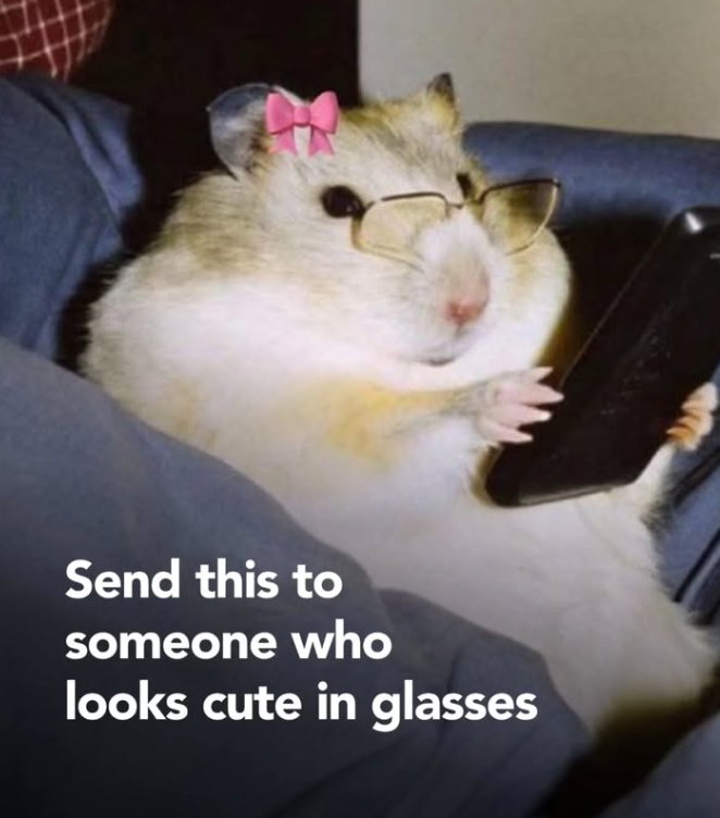 A Vision Upgrade of 21 Glasses Memes for People Who Paid to Unlock ...