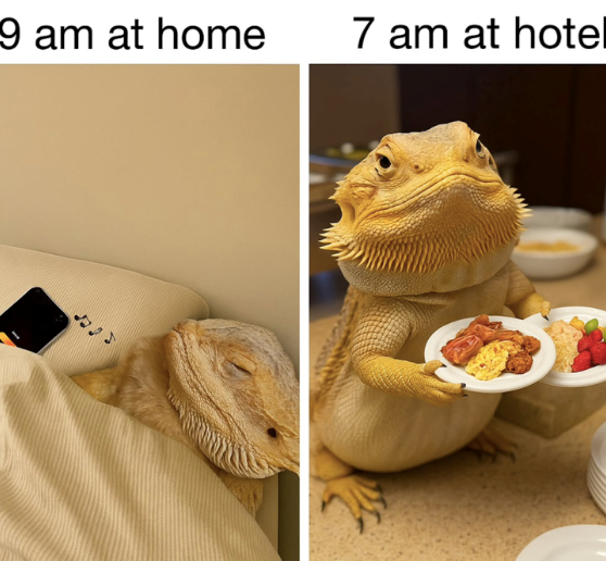 20 Lizard memes to warm your heart like a 100-degree heat lamp - Animal ...
