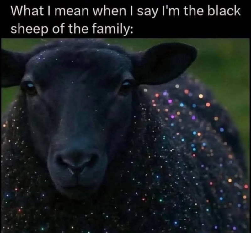 22 Baaa-rilliant Baby Lamb Memes That Bring the Fluffiest Kind of ...