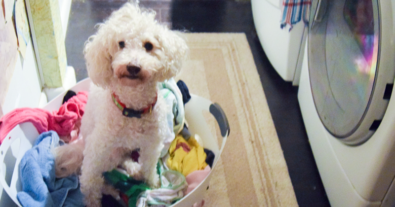 Resident sparks debate online after moving a neighbor's clothes out of ...