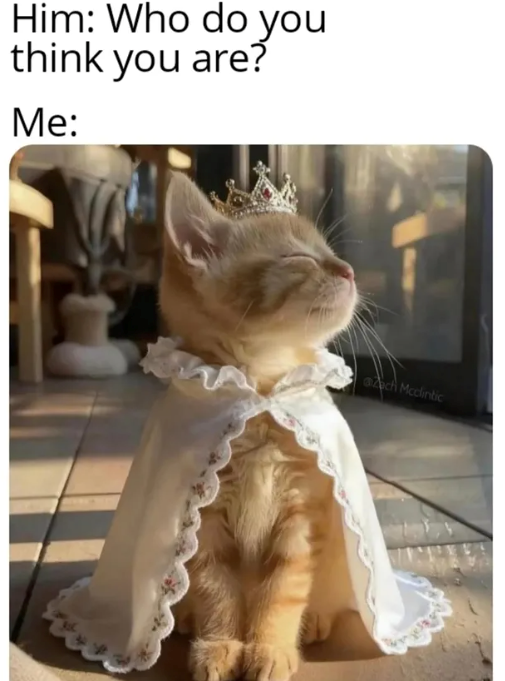 A Sweet Morsel of 27 Nourishing Kitten Memes to Inspire Purr Bliss - I ...