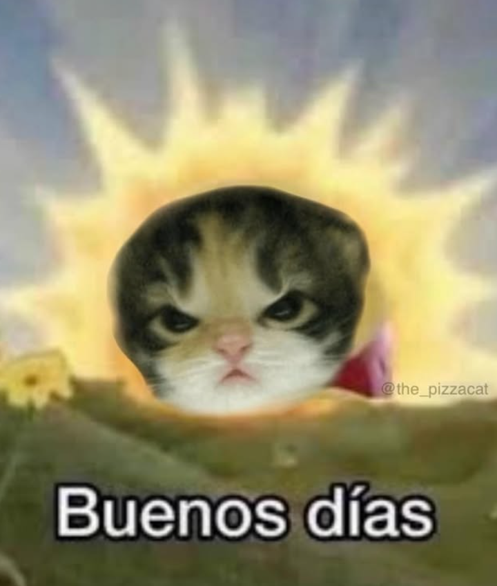 Buenos Dias Cat Memes for a Fun Friday Morning - I Can Has Cheezburger?