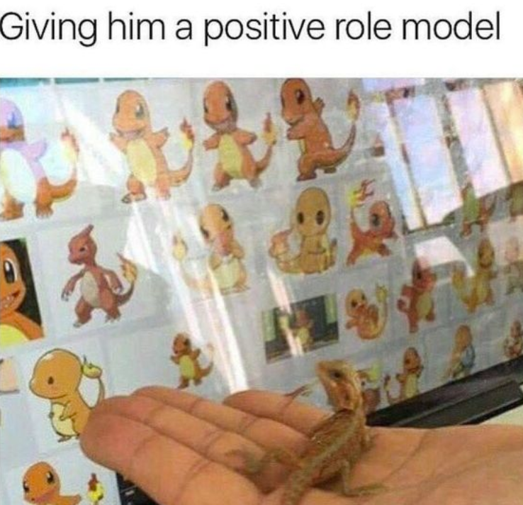 The Best Heartwarmingly Wholesome Memes and Posts of the Week ...