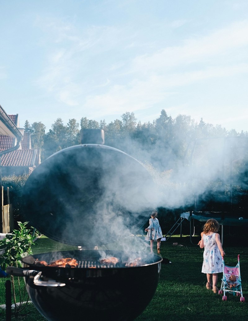 Family refuses to invite cousin to 4th of July BBQ after her behavior ...