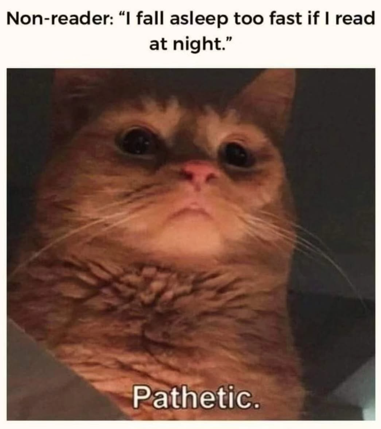 22 Cozy Book Memes for Readers Who Buy Books Faster Than They Read Them ...