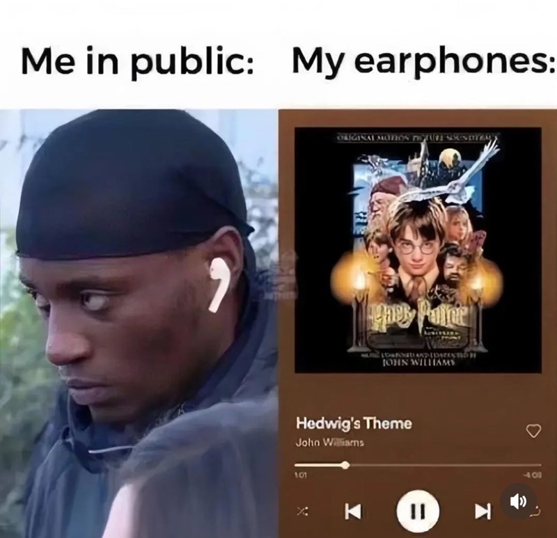 30+ of the Best Harry Potter Memes of the Week (February 7, 2024 ...