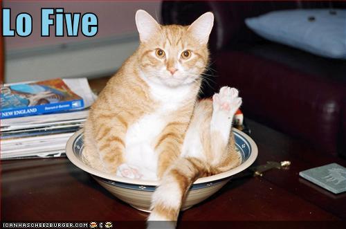 Lo Five - Cheezburger - Funny Memes | Funny Pictures