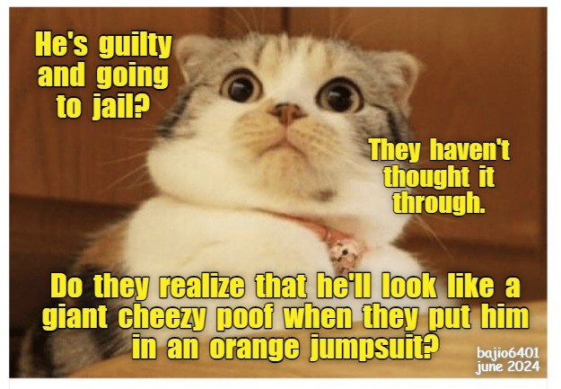 Need a different color - Lolcats - lol | cat memes | funny cats | funny ...