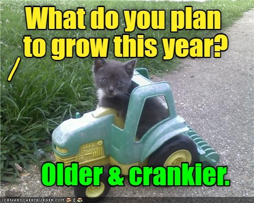 The crops are plentiful - Lolcats - lol | cat memes | funny cats ...