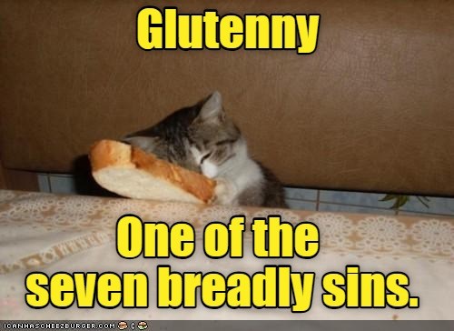 Repent! - Lolcats - lol | cat memes | funny cats | funny cat pictures ...