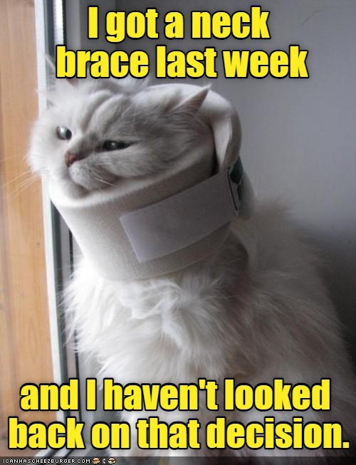 Or anything else for that matter - Lolcats - lol | cat memes | funny ...