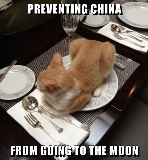 China - Lolcats - lol | cat memes | funny cats | funny cat pictures ...