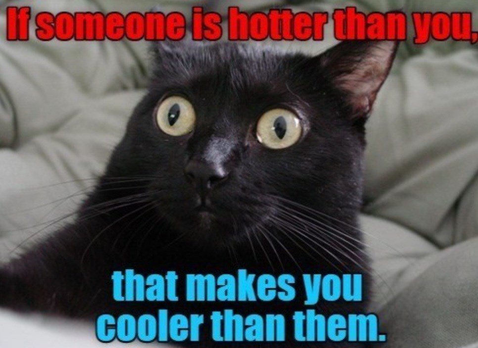 Hot & cool - Lolcats - lol | cat memes | funny cats | funny cat ...