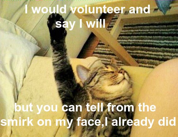 Catch up when you can - Lolcats - lol | cat memes | funny cats | funny ...