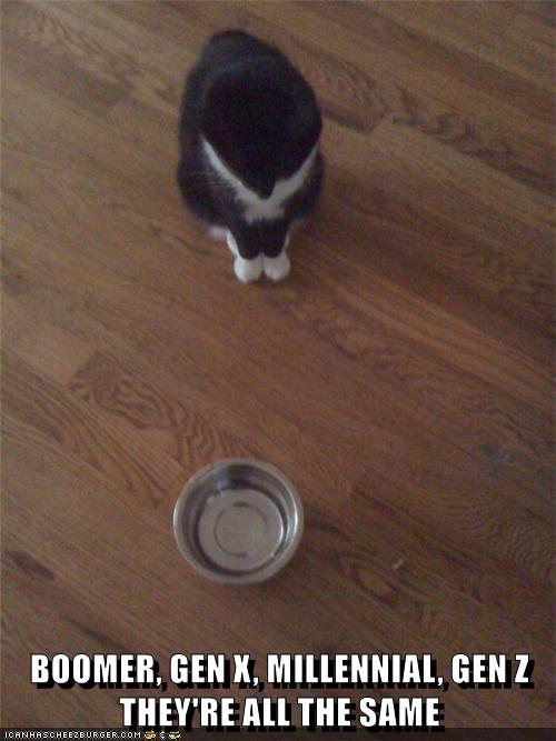 All the same - Lolcats - lol | cat memes | funny cats | funny cat ...