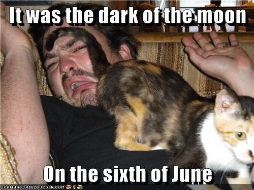 The sixth of June - Lolcats - lol | cat memes | funny cats | funny cat ...
