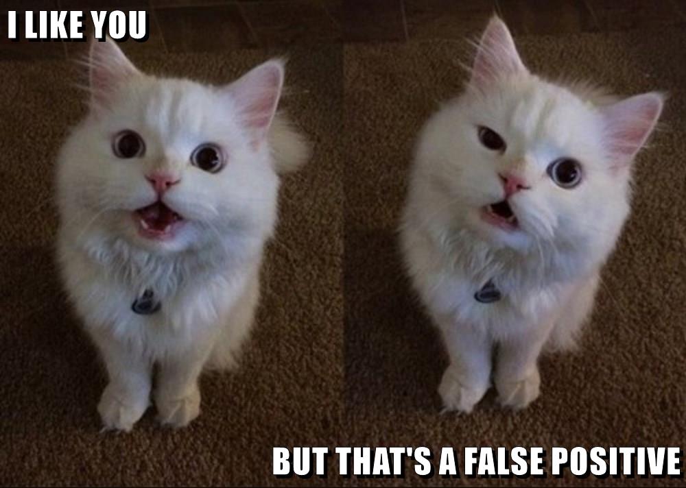 False positive - Lolcats - lol | cat memes | funny cats | funny cat ...