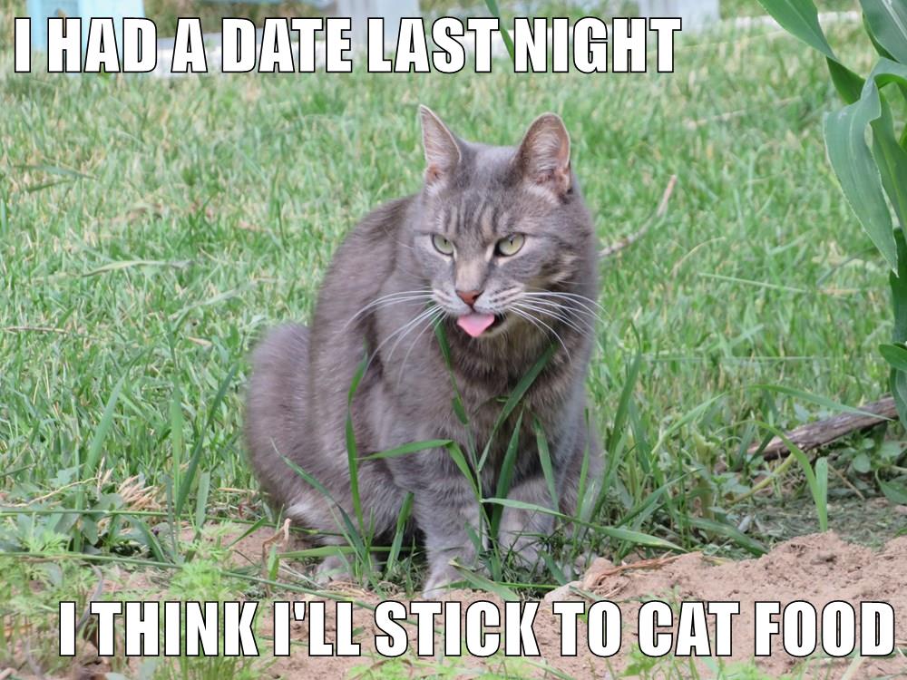 Dates - Lolcats - lol | cat memes | funny cats | funny cat pictures ...