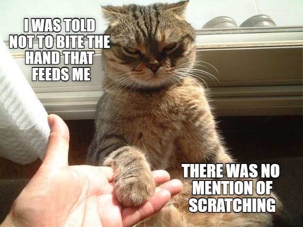 Selective hearing - Lolcats - lol | cat memes | funny cats | funny cat ...