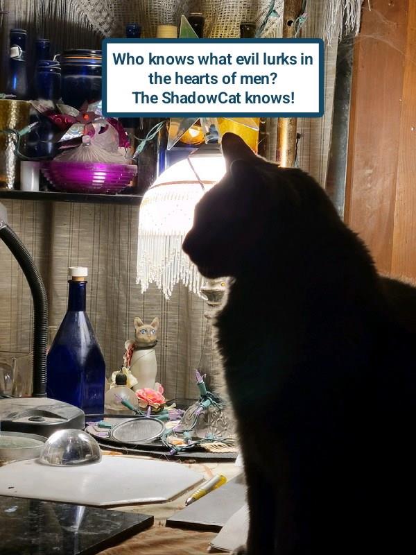 Radio drama cat - Lolcats - lol | cat memes | funny cats | funny cat ...