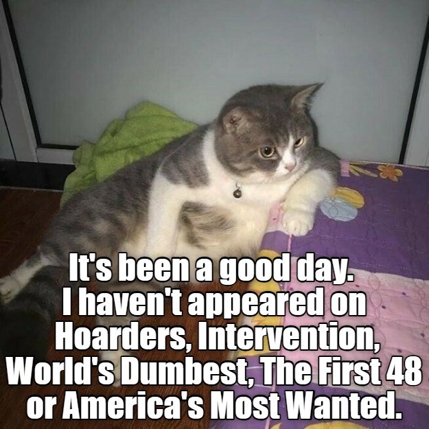 So far... - I Can Has Cheezburger?