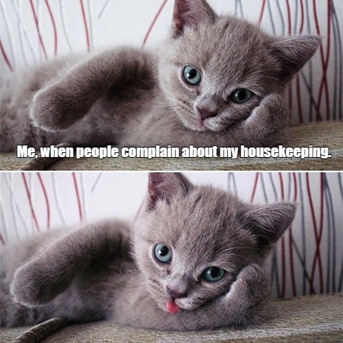 Shush up - Lolcats - lol | cat memes | funny cats | funny cat pictures ...