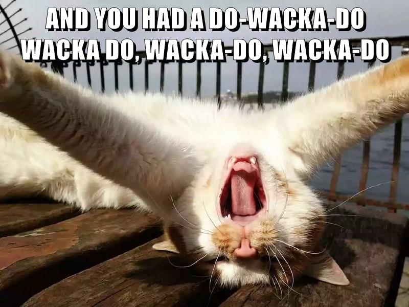 Wacka-do - Lolcats - lol | cat memes | funny cats | funny cat pictures ...