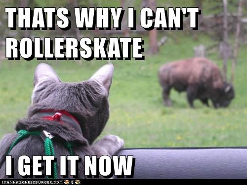 Get it - Lolcats - lol | cat memes | funny cats | funny cat pictures ...