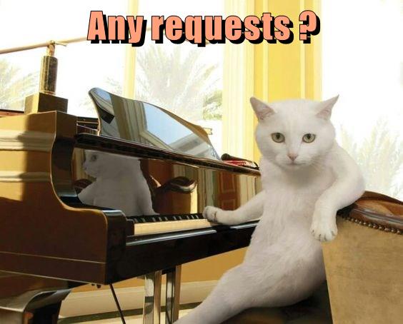 Any requests? - Lolcats - lol | cat memes | funny cats | funny cat ...