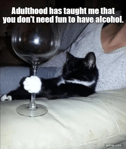 A lesson learned is a lesson earned - Lolcats - lol | cat memes | funny ...