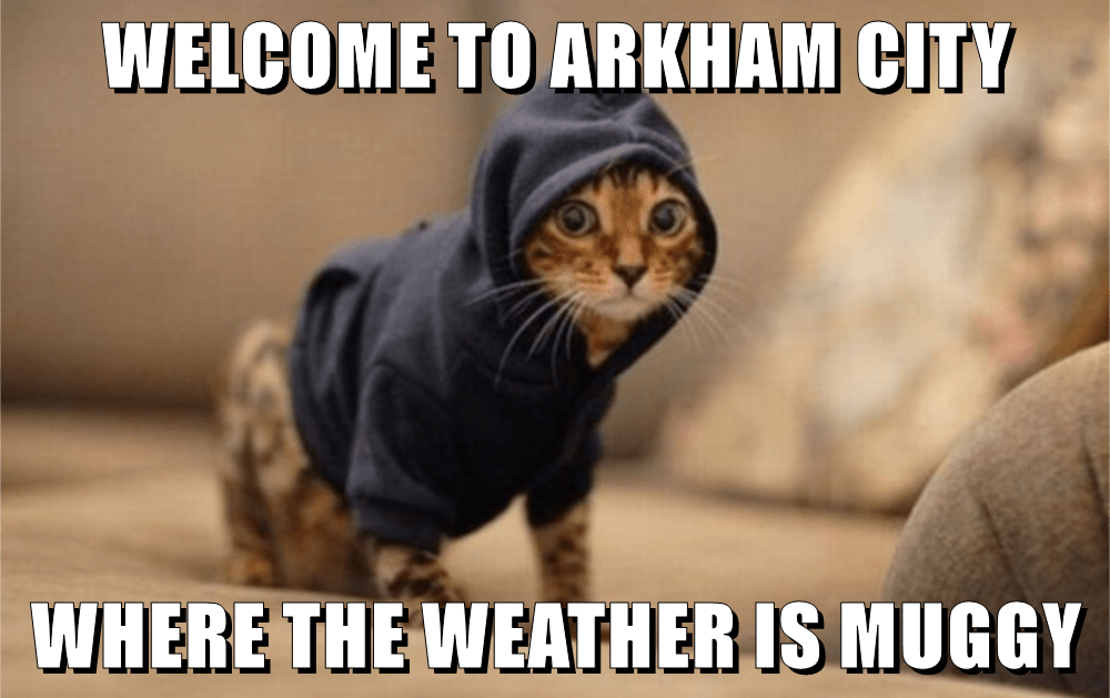 Muggy - Lolcats - lol | cat memes | funny cats | funny cat pictures ...