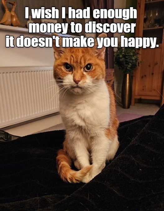 Money - Lolcats - lol | cat memes | funny cats | funny cat pictures ...