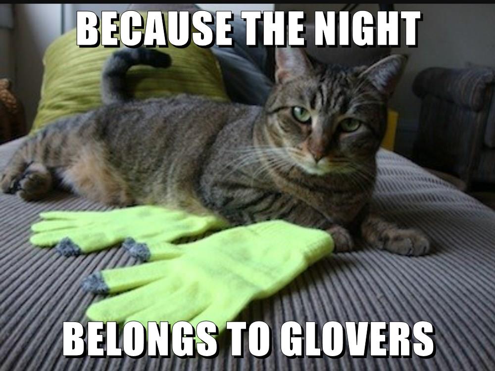 The night belongs - Lolcats - lol | cat memes | funny cats | funny cat ...