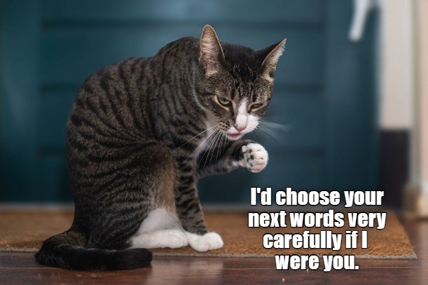 Careful now - Lolcats - lol | cat memes | funny cats | funny cat ...