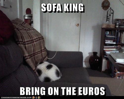 Sofa king - Lolcats - lol | cat memes | funny cats | funny cat pictures ...